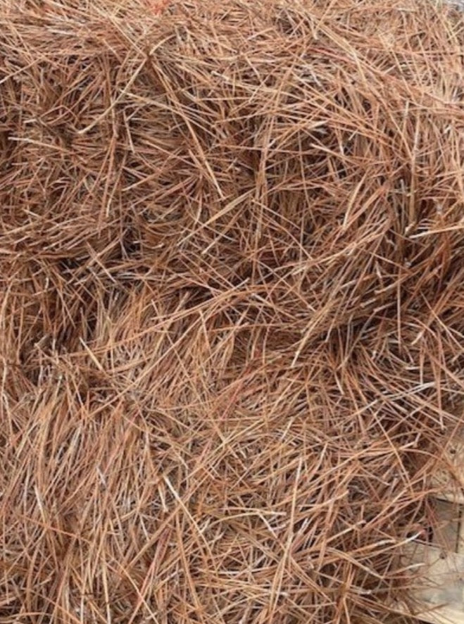 MULCH, PINE STRAW (NEEDLES) BALED – Garden Shack Farm